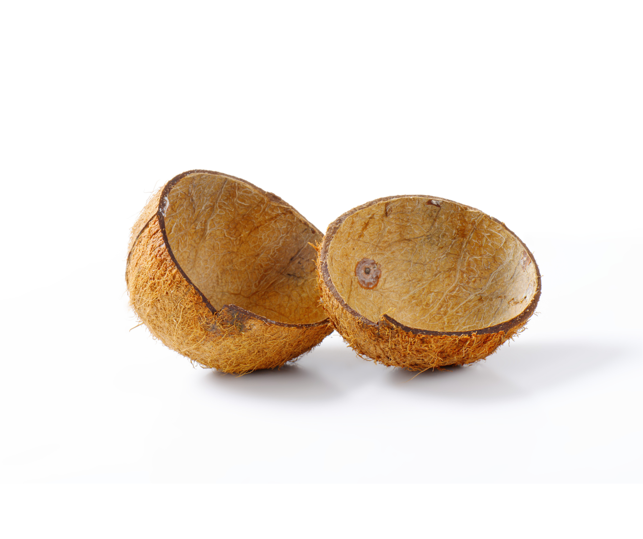 Coco Charcoal - A Truly Deluxe Option - Outgreen Holdings